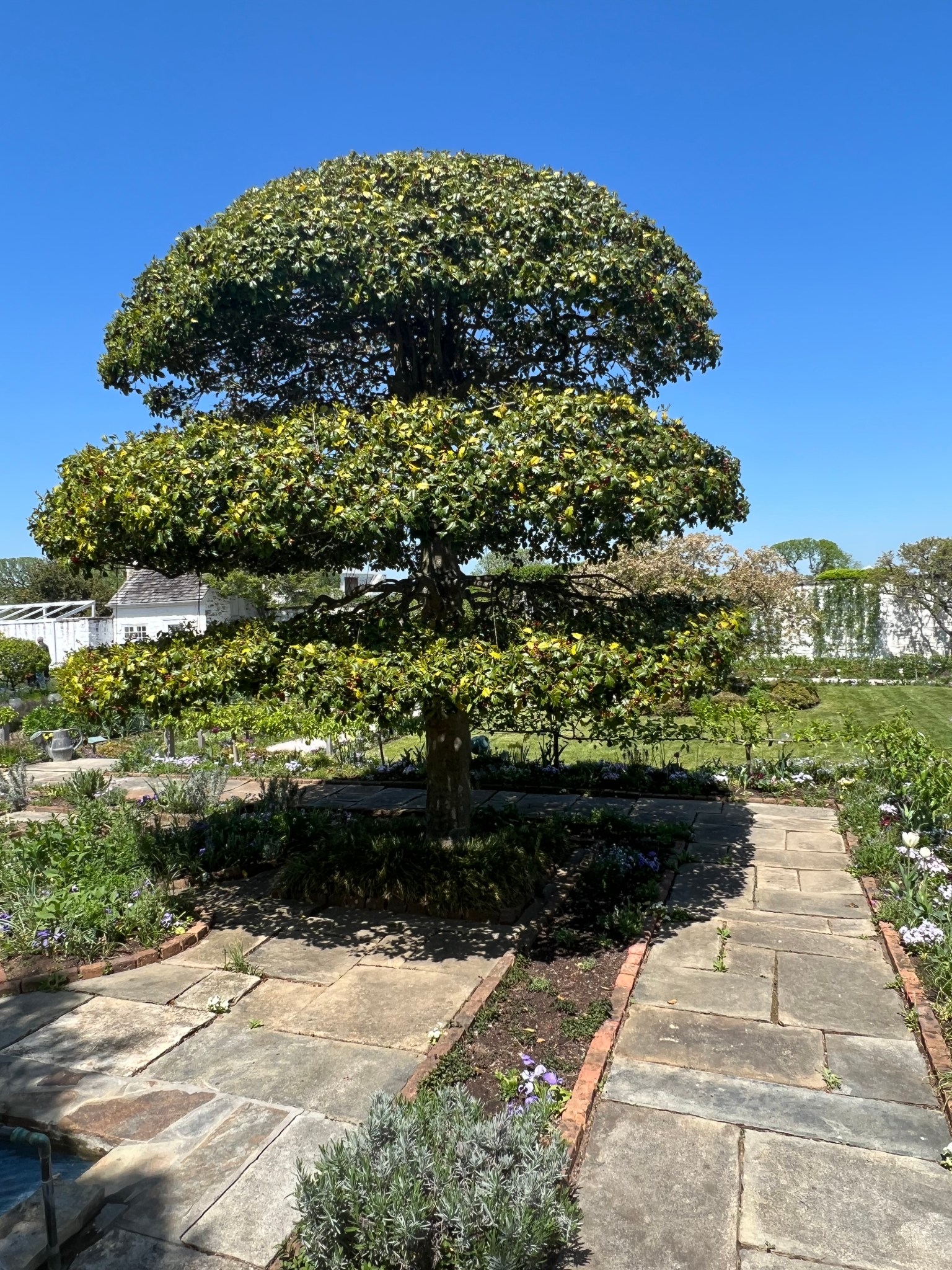 Bunny and Paul Mellon’s Little Oak Spring | Sandra's Town & Country