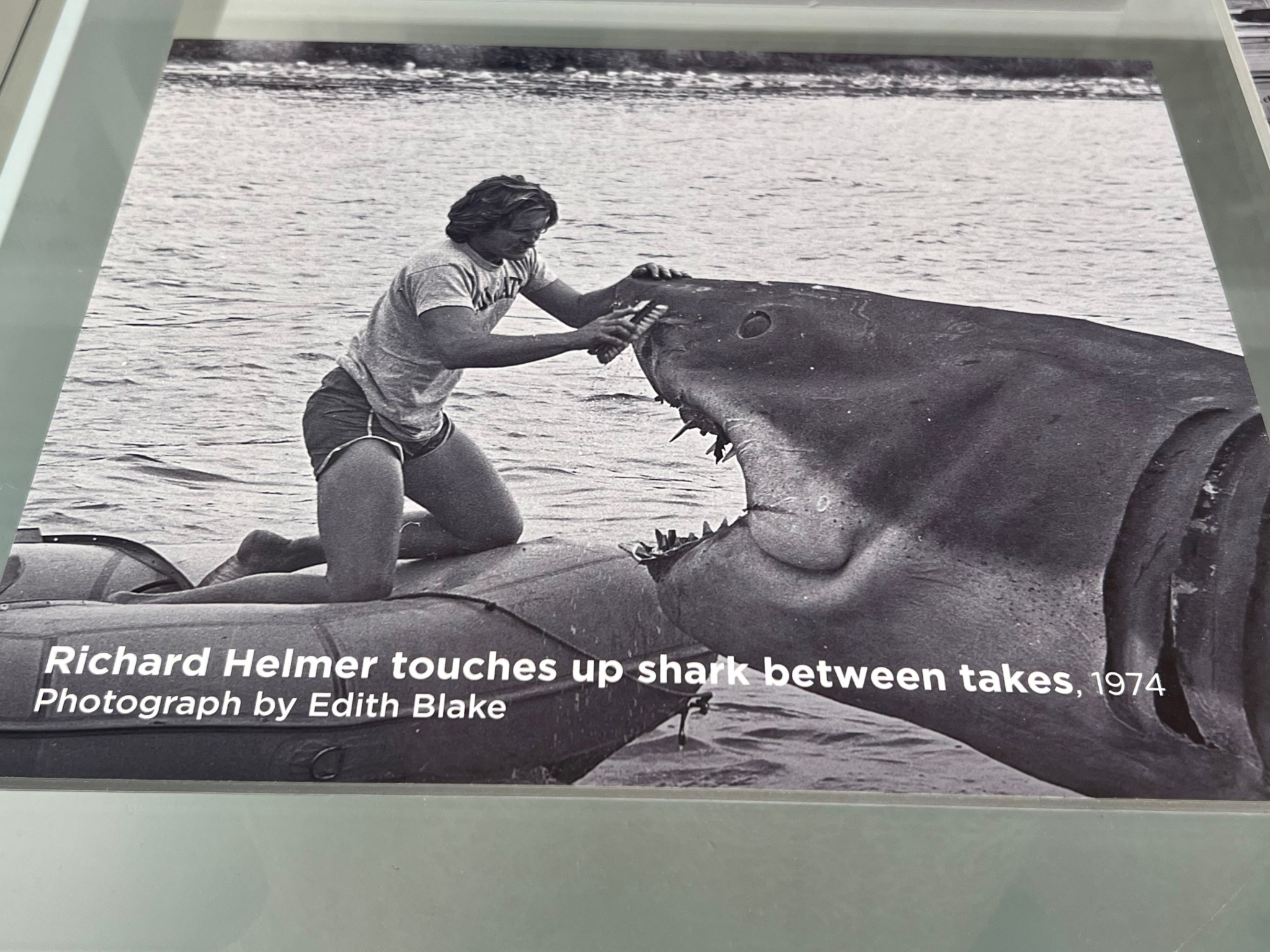 When they filmed Jaws, on Martha’s Vineyard | Sandra's Town & Country